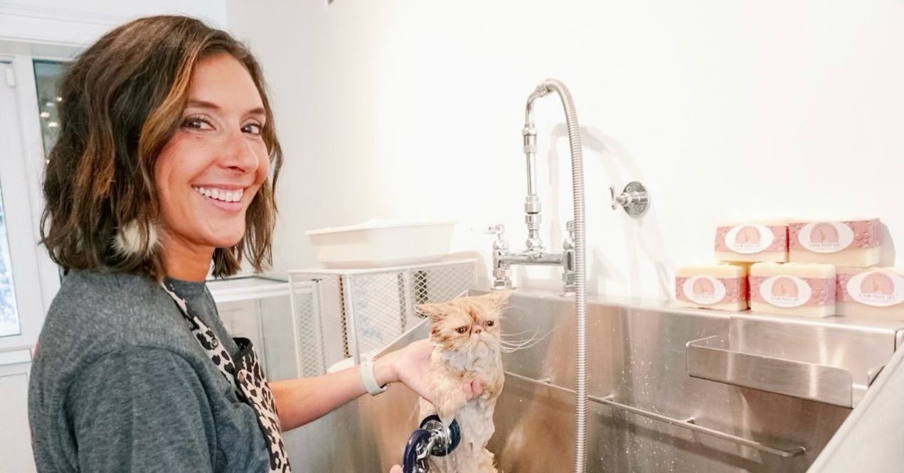 The Charleston Cat Groomer - Feline Master Groomer